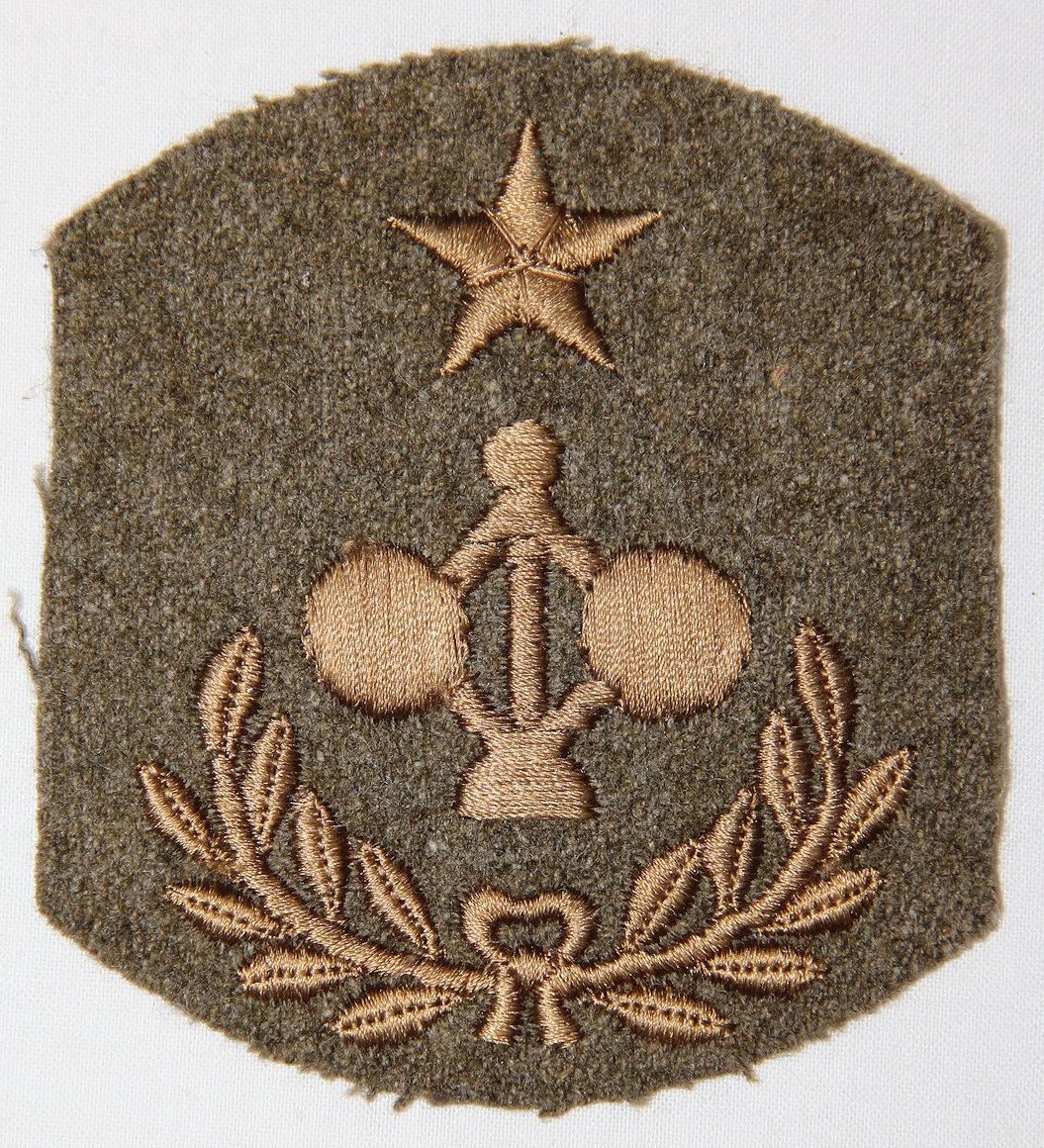 B464. WWI COAST ARTILLERY CORPS ENGINEER SLEEVE RATE - B & B Militaria