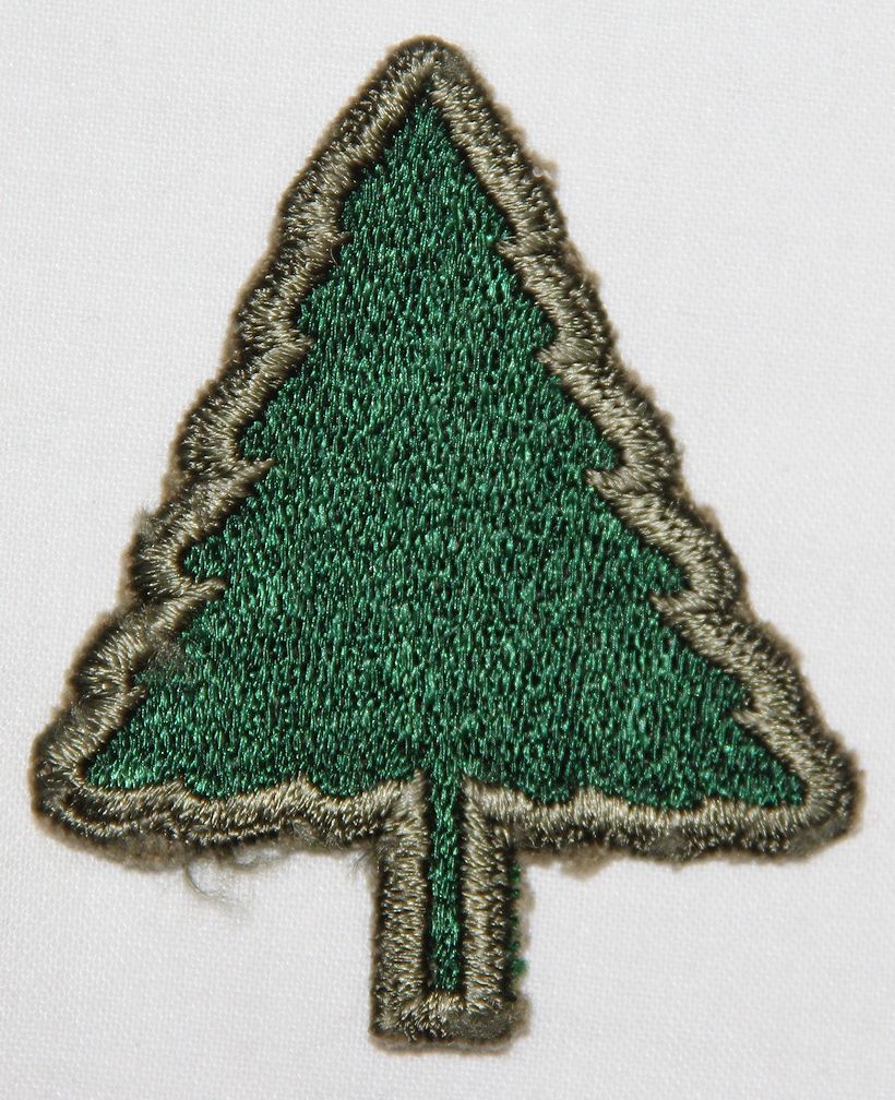 G310. WWII OD BORDER 91ST INFANTRY DIVISION PATCH - B & B Militaria